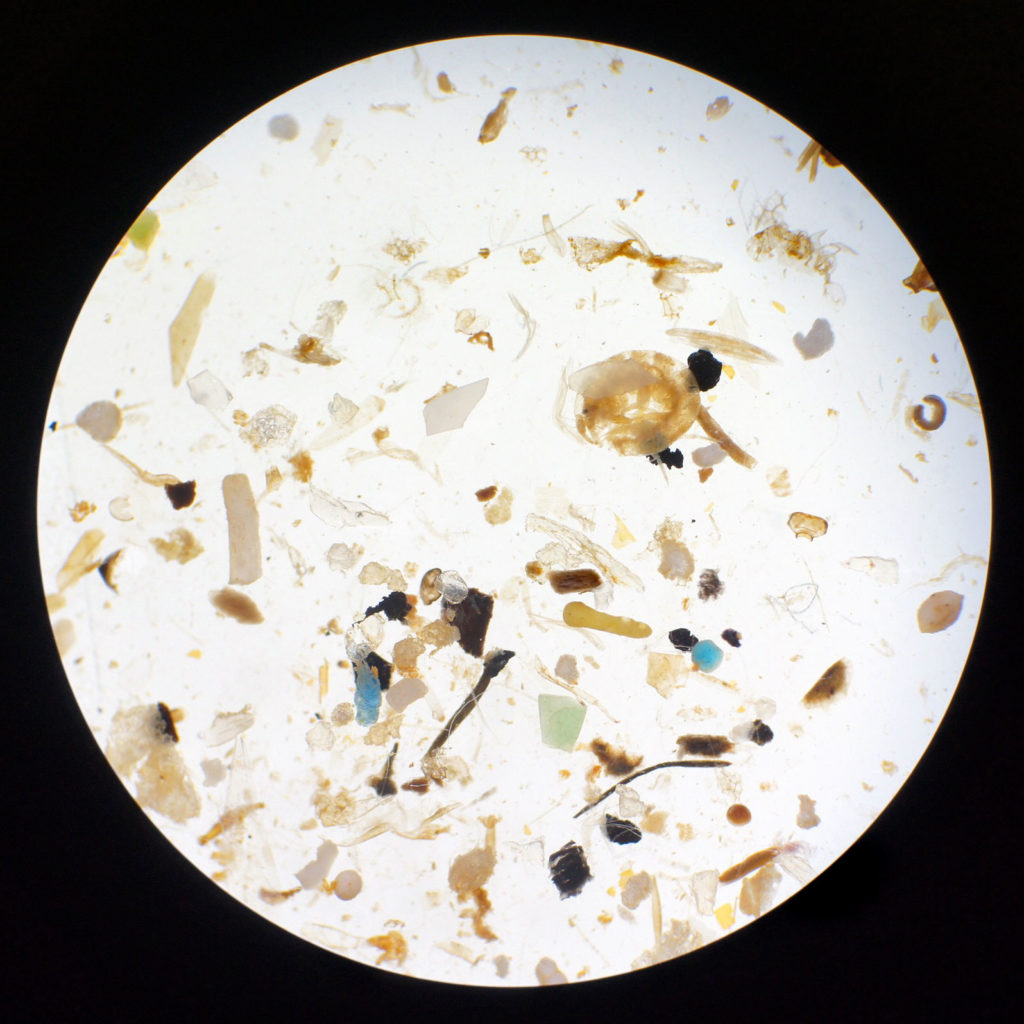 Home - Solving Microplastics